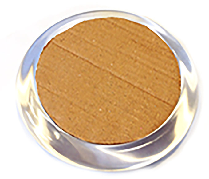 DIY Photo Paperweight - Through Her Looking Glass