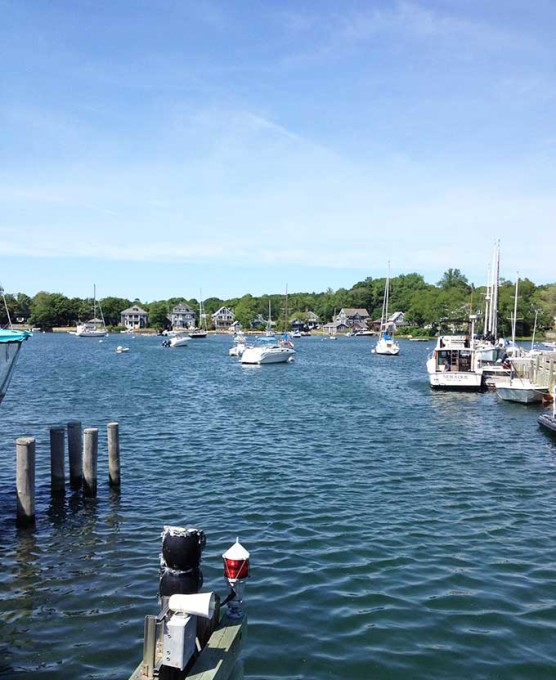 The Cape - Through Her Looking Glass