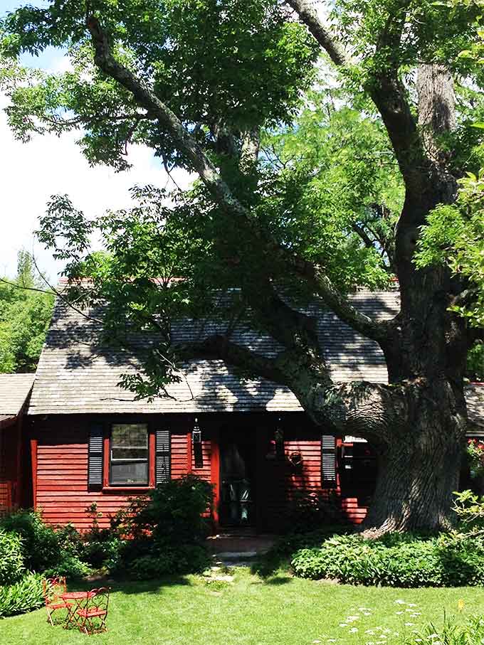 Pickity Place - Through Her Looking Glass