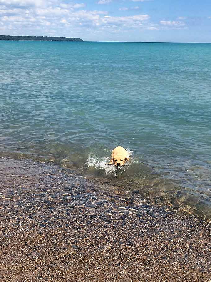 Whitefish Bay Adventures, Lake Michigan - Through Her Looking Glass